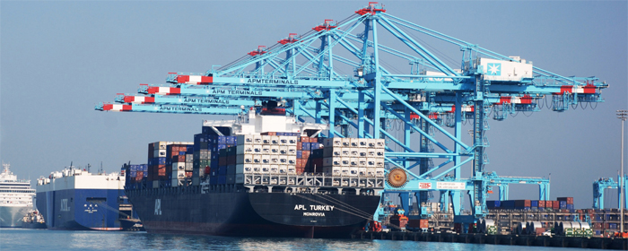 Rapid Global Logistics